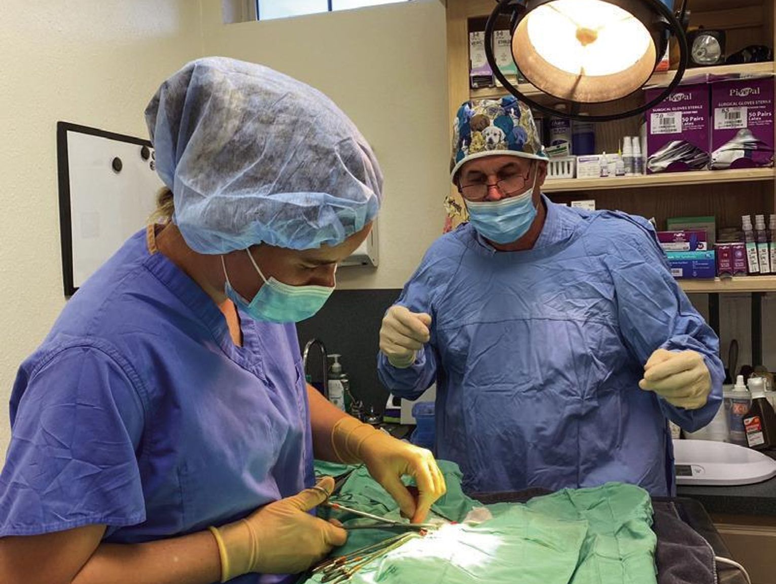 Elk City roots run deep for OU star pitcher, Women’s World Series MVP ...