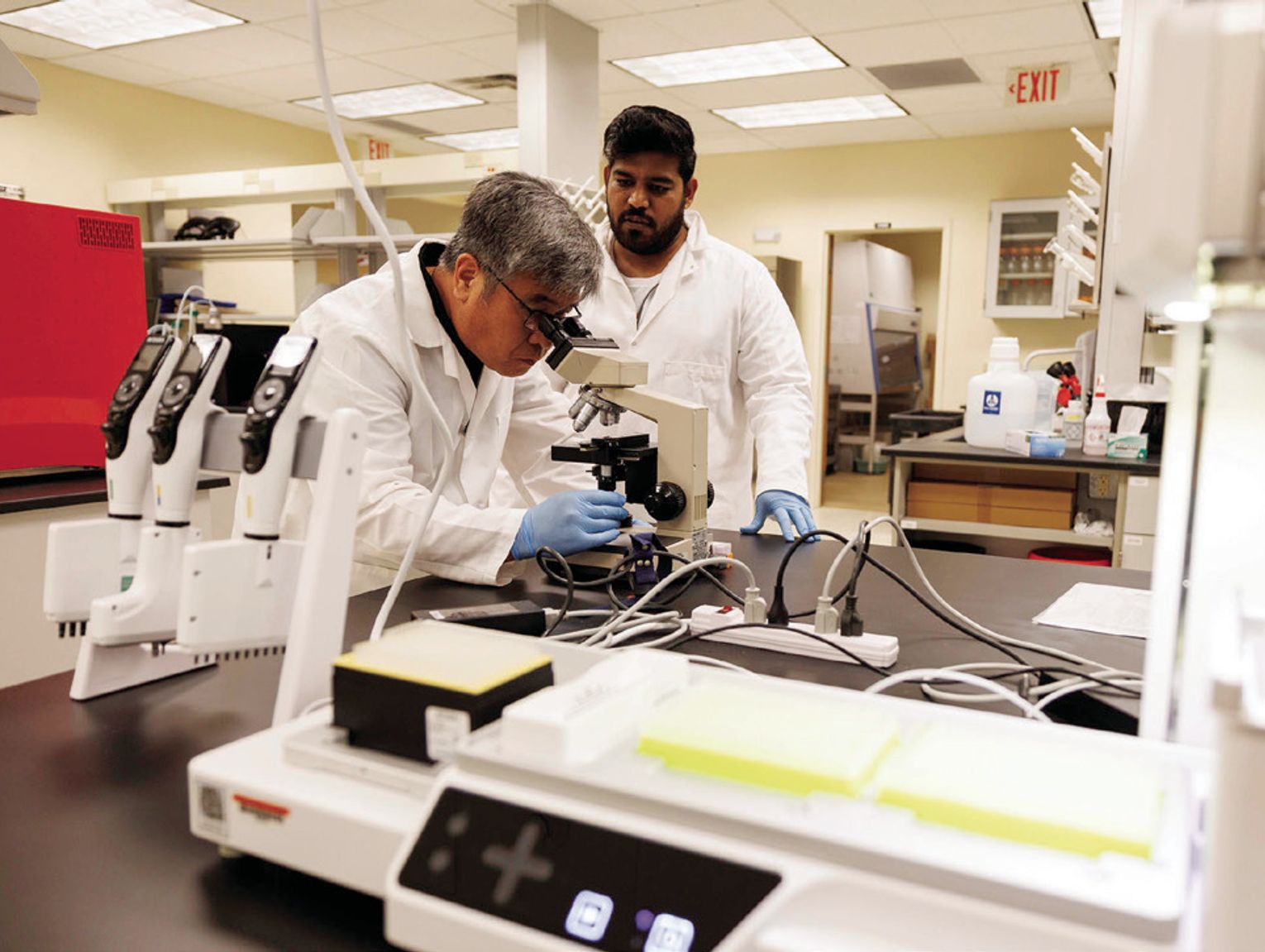 New OSU One Health lab to transform agricultural genetic research